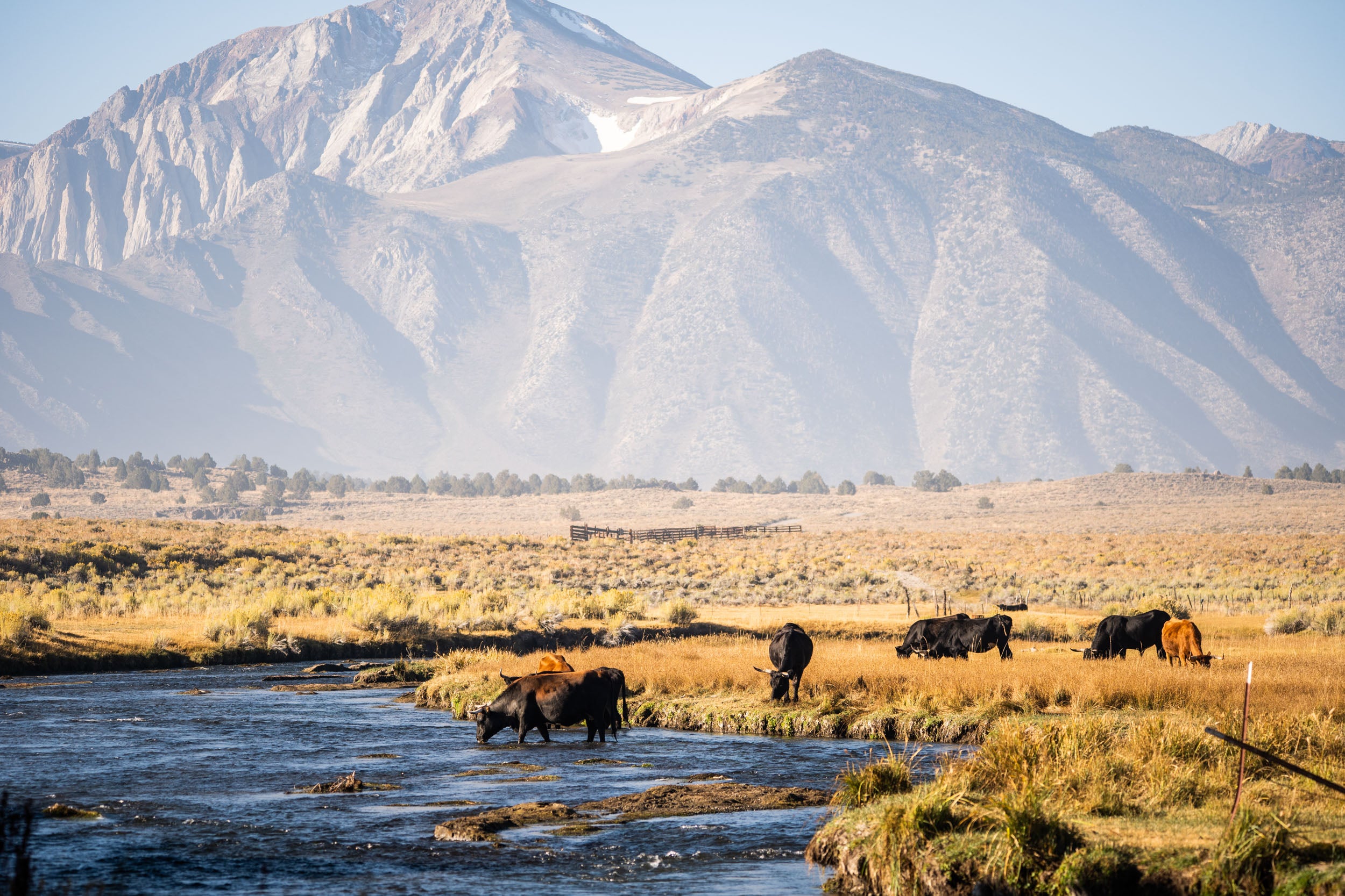 About Easy Rider Beer